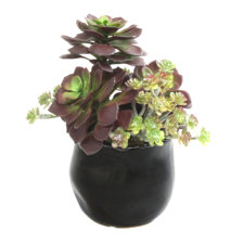 Furniture & Home Decor Search: faux succulents