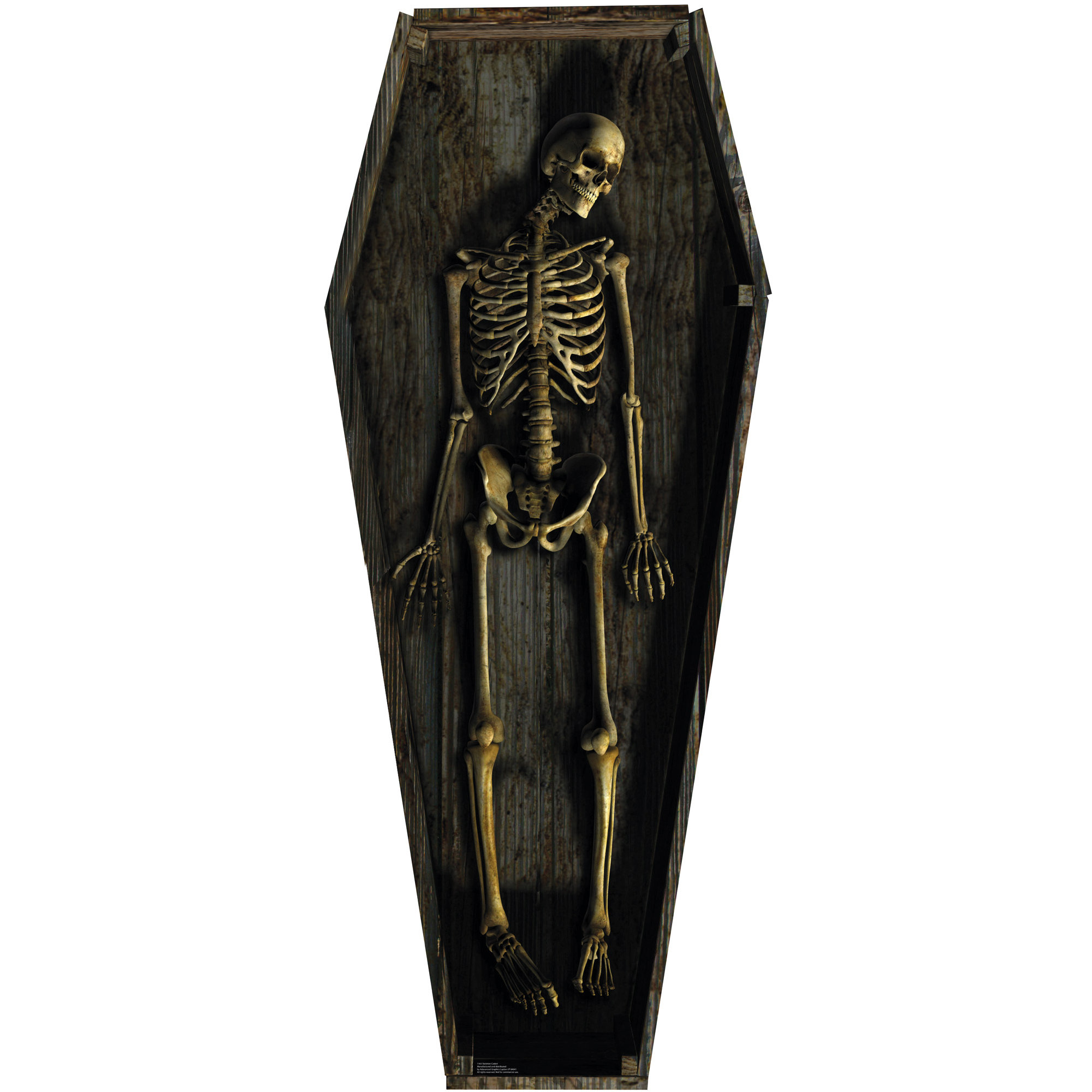Advanced Graphics Skeleton Casket Stand-Up & Reviews | Wayfair
