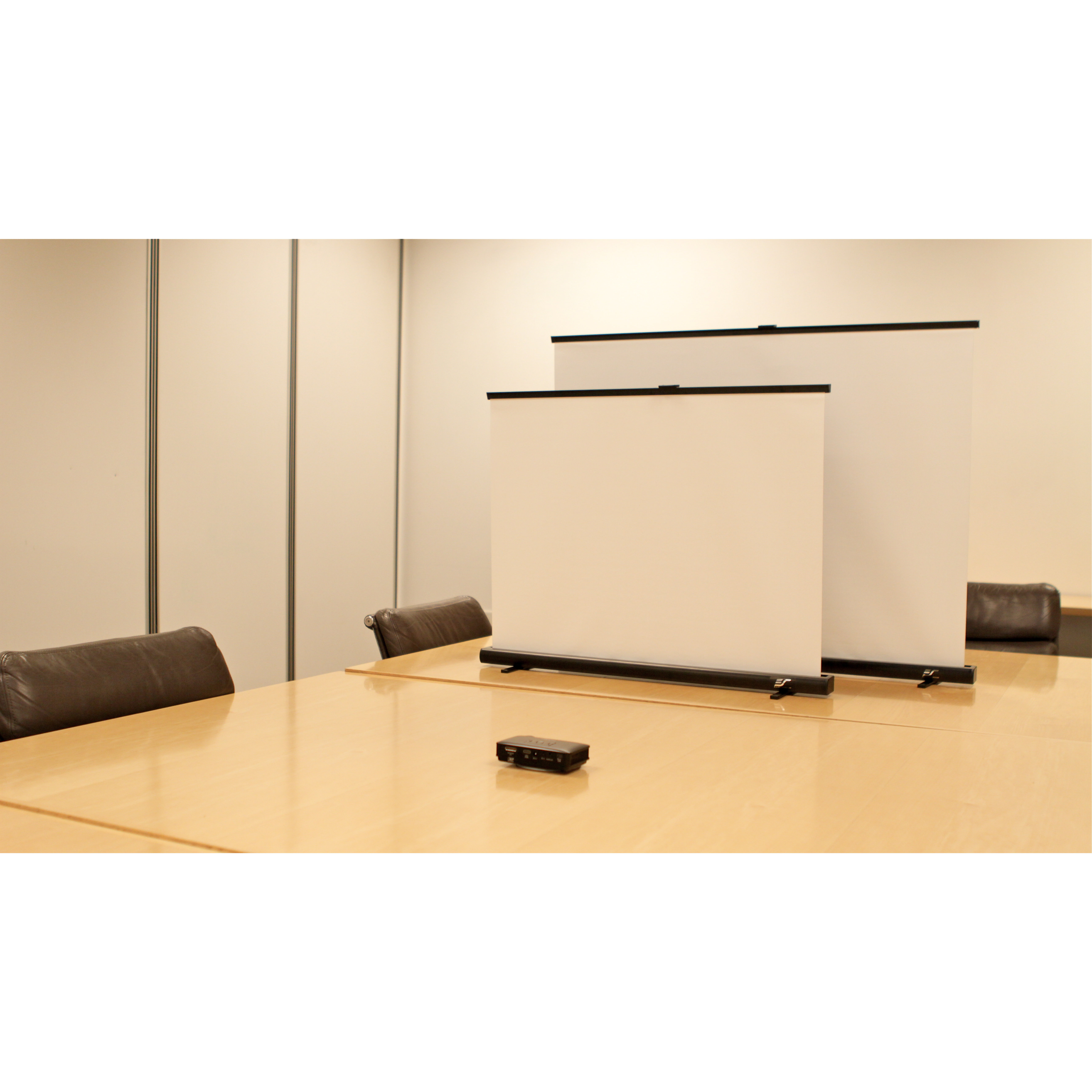 Elite Screens PicoScreen Series White Portable Projection Screen | Wayfair